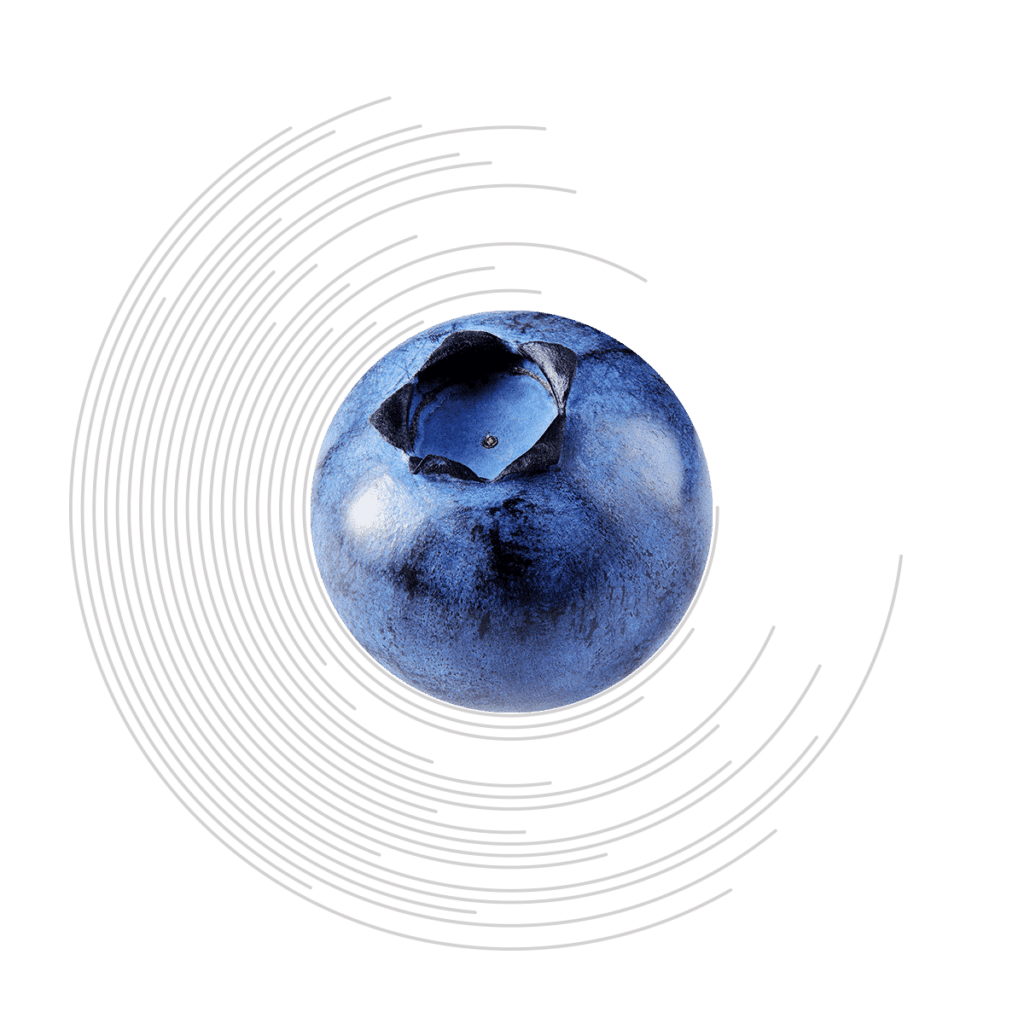 Blueberry